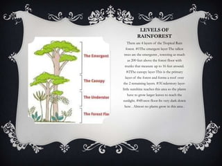 Tropical rainforest project | PPTX | Geography | Science