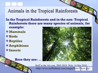 Tropical Rainforests 1 | PPT