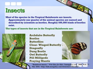 Tropical rainforests | PPT