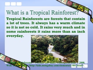 Tropical rainforests | PPT