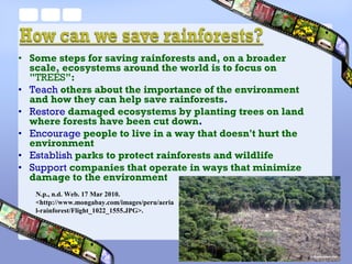 Tropical rainforests | PPT