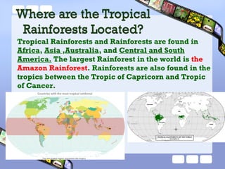 Tropical rainforests | PPT