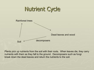 Tropical rainforests | PPT
