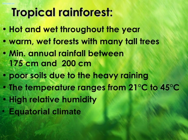 Tropical rainforests | PPT