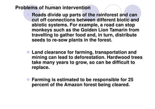 Tropical Rainforests | PPT