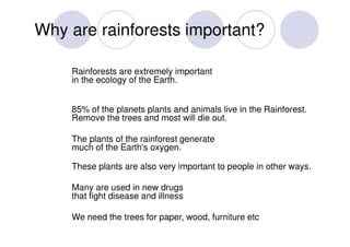 Tropical Rainforests | PDF