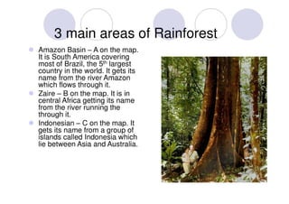 Tropical Rainforests | PDF