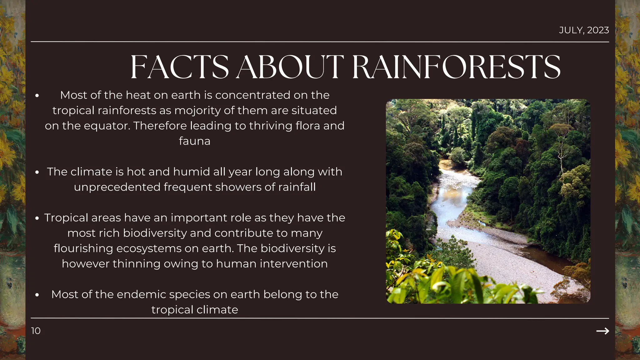 tropical rainforests (1).pdf