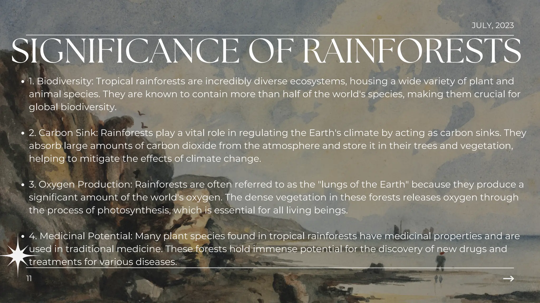 tropical rainforests (1).pdf