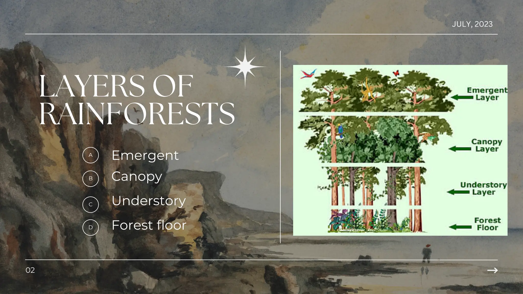 tropical rainforests (1).pdf