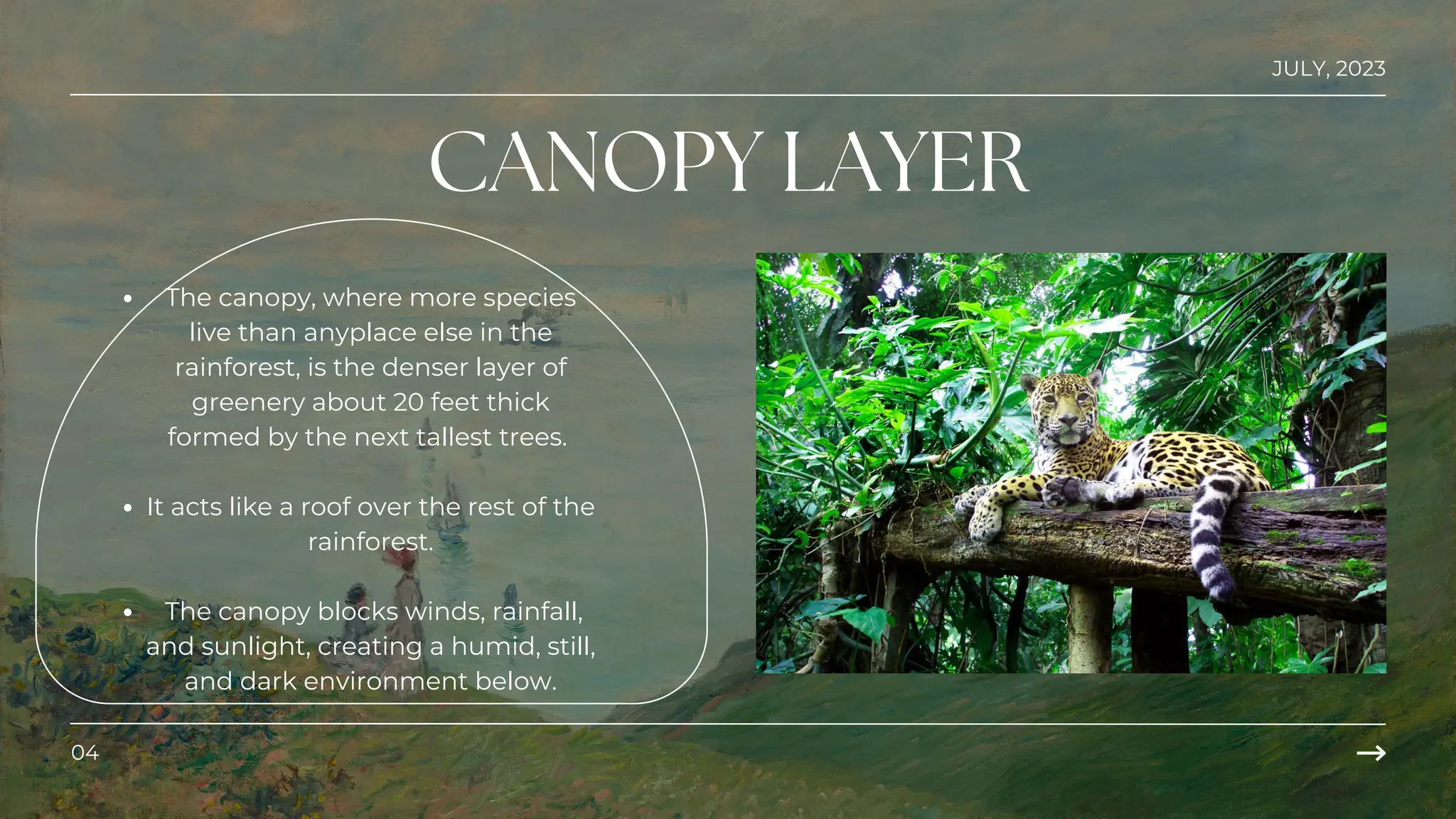 tropical rainforests (1).pdf