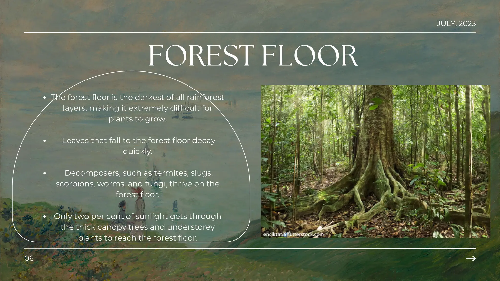 tropical rainforests (1).pdf
