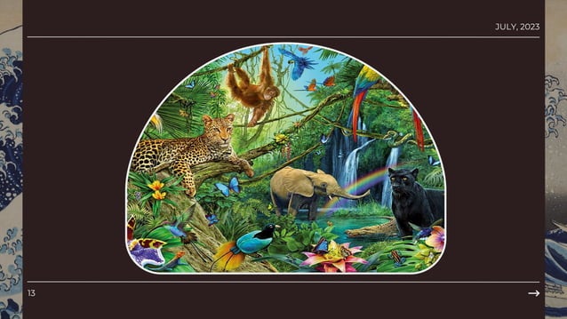 tropical rainforests (1).pdf
