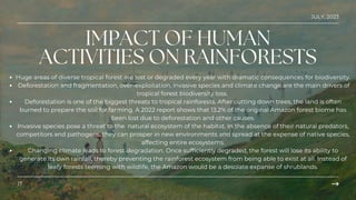 tropical rainforests (1).pdf