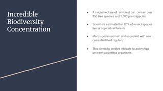Tropical Rainforests as Earth's Vital Biodiversity Hotspots | PDF
