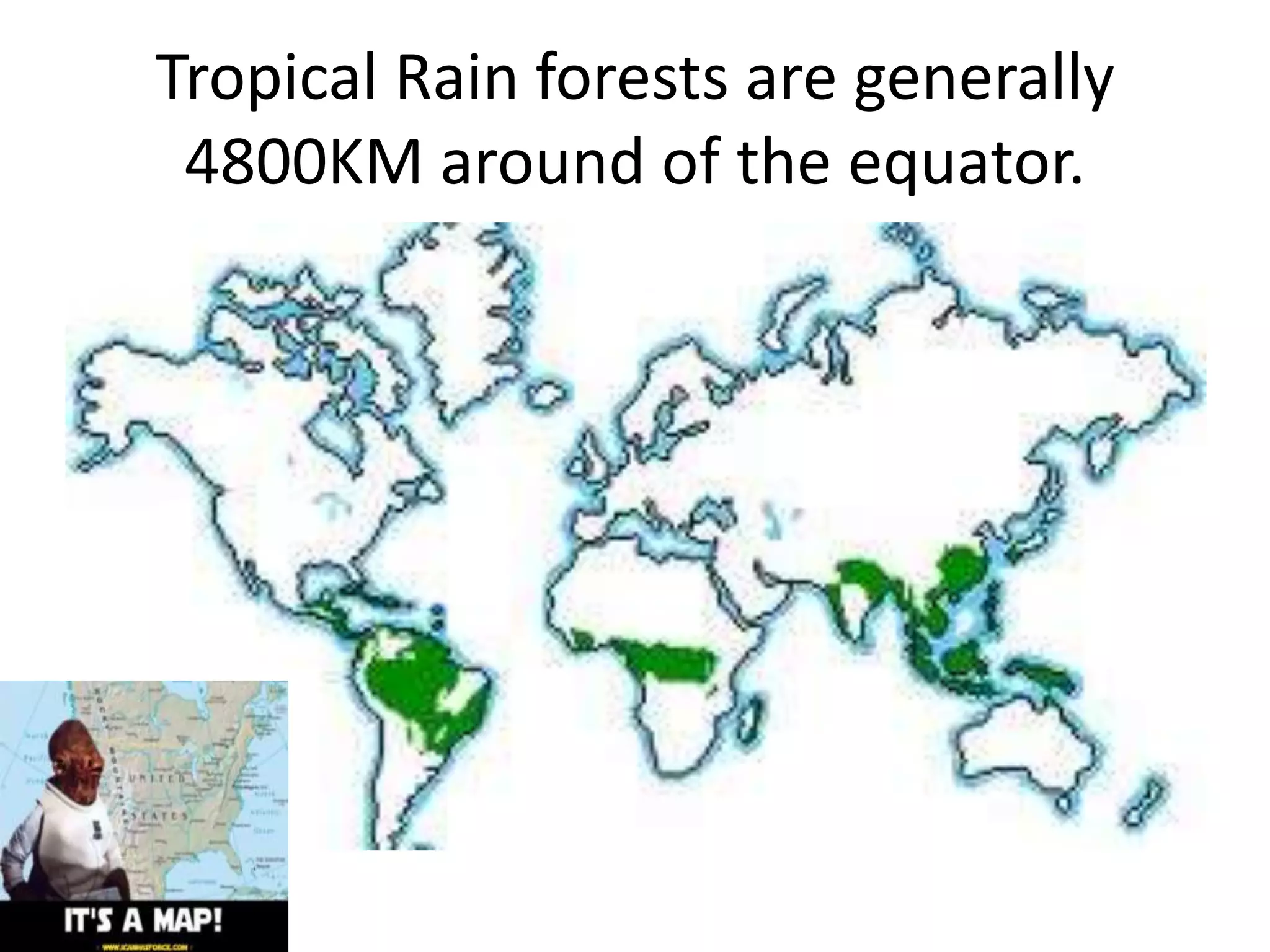 Tropical rain forest science 10 | PPTX