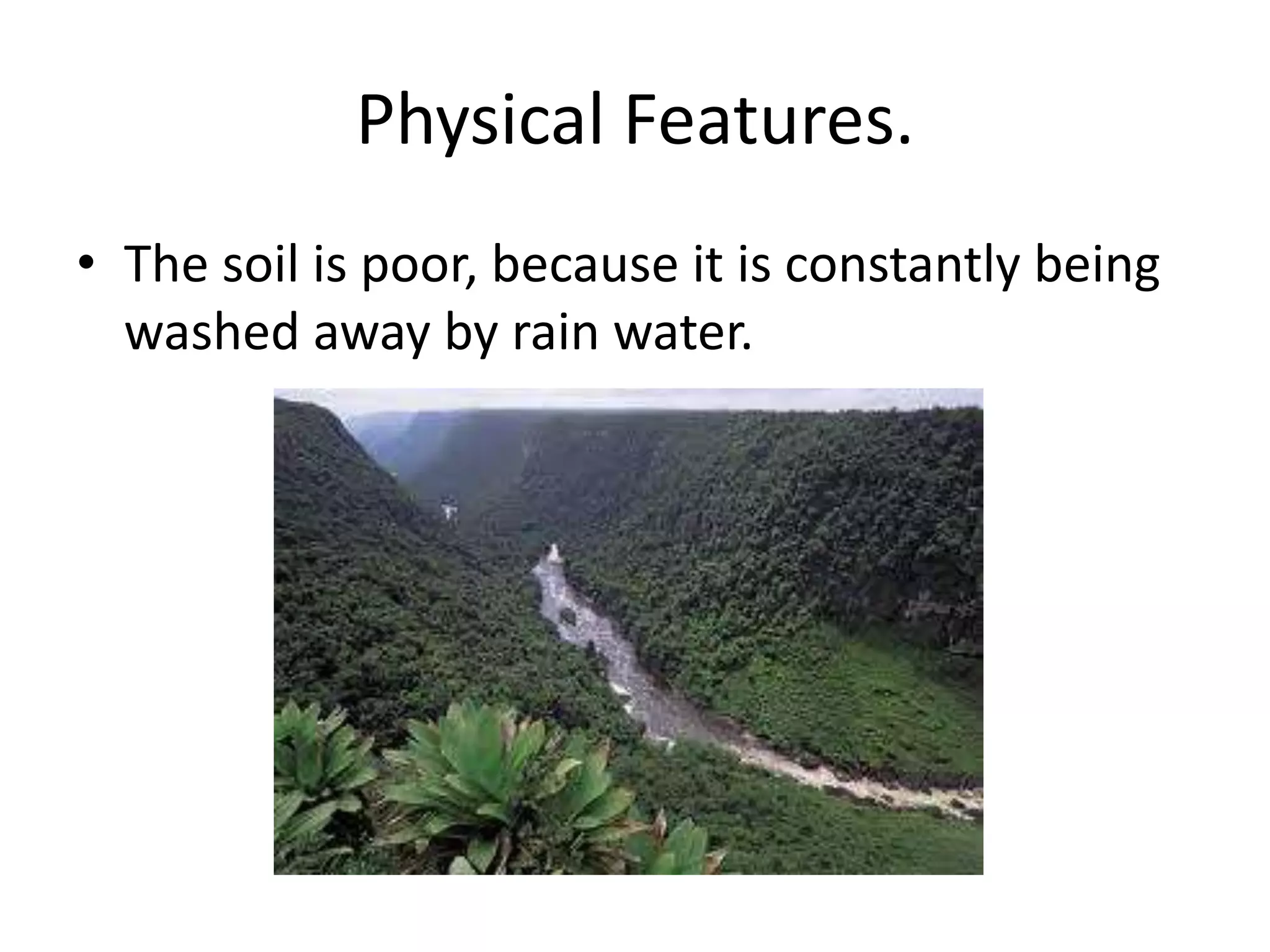 Tropical rain forest science 10 | PPTX