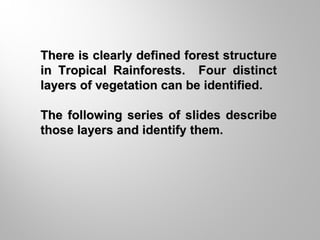 Tropical rainforests power pt | PPT