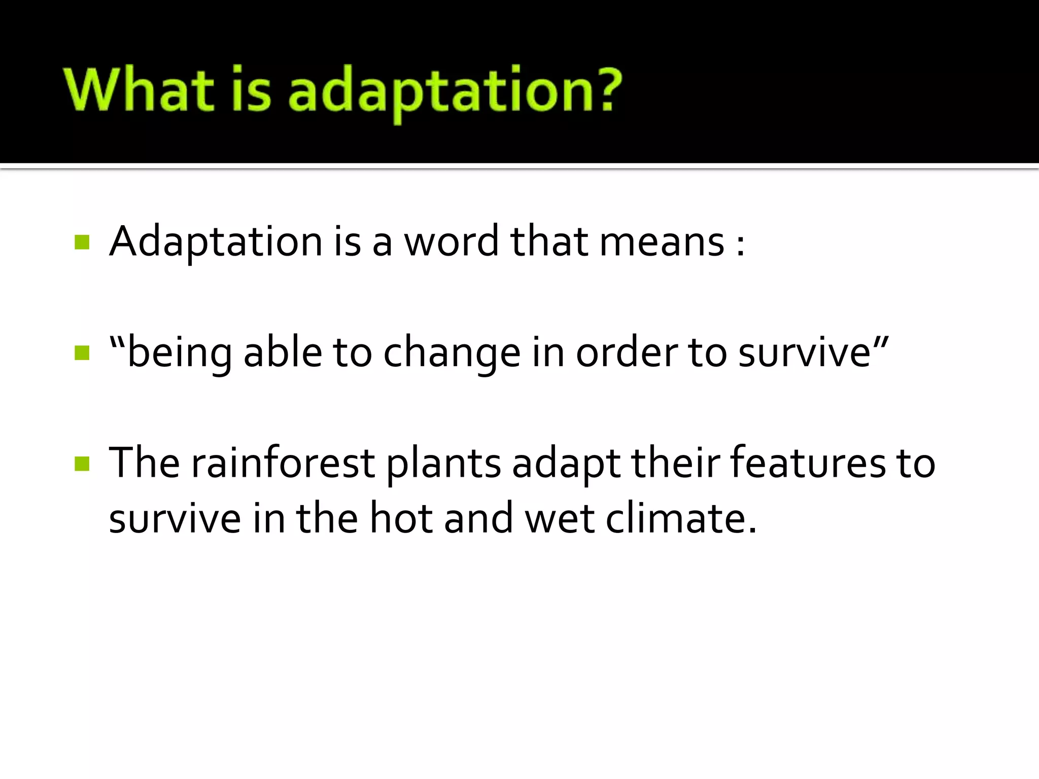 Tropical rainforests structure and adaptation | PPT