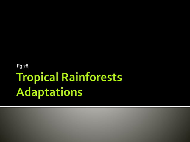 Tropical rainforests structure and adaptation | PPT