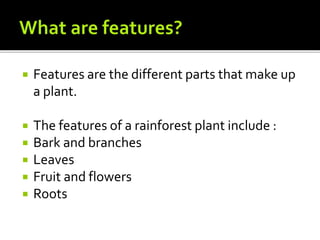 Tropical rainforests structure and adaptation | PPT