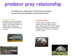 Tropicalrainforesttt!Pt2 | PPT