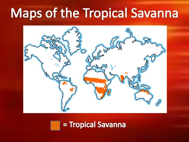 Tropical savanna