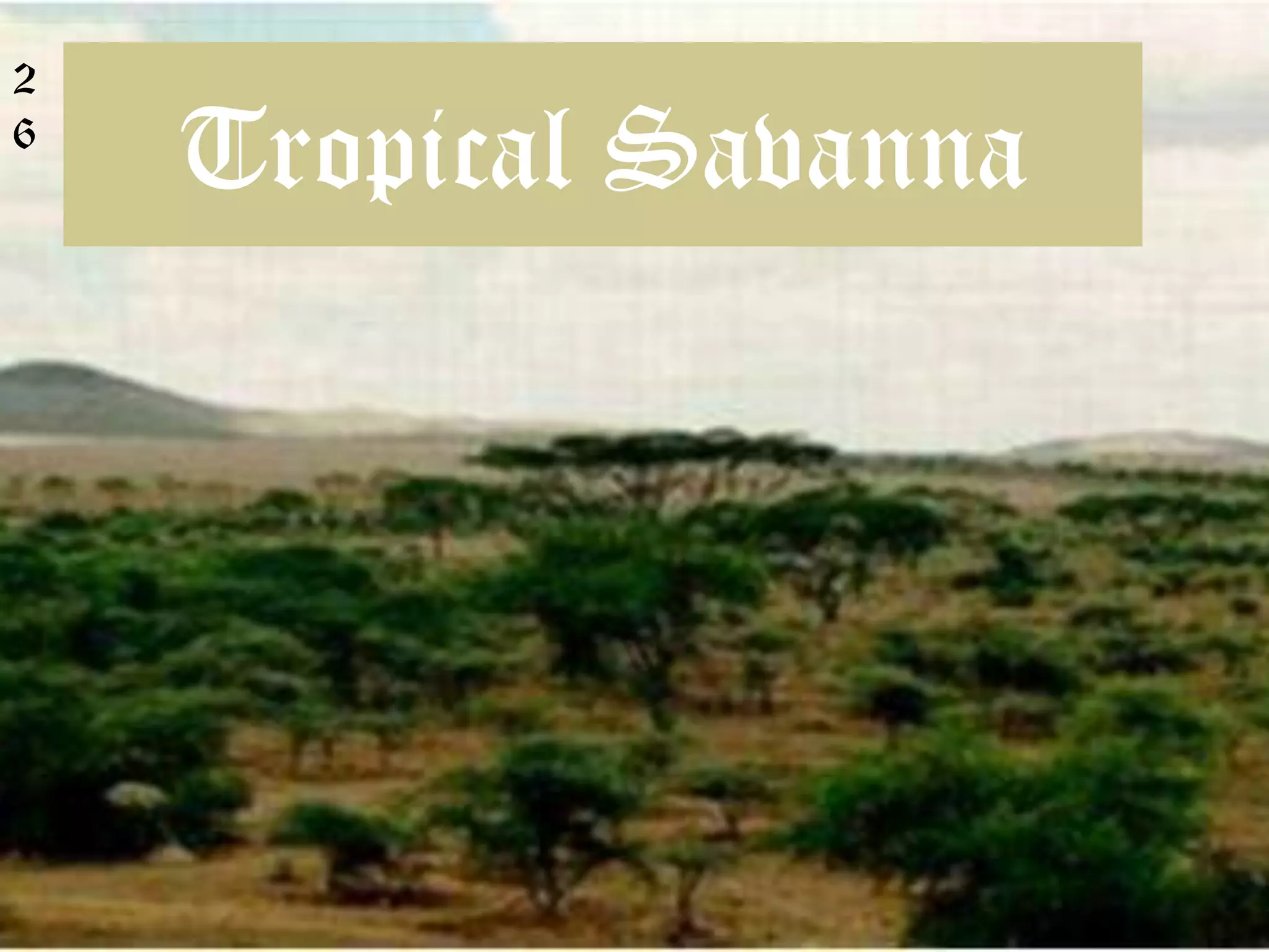 Tropical savanna | PPTX