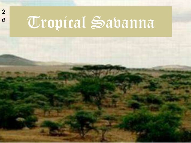 Tropical savanna | PPT