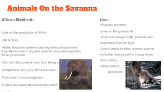 Tropical savanna PERIOD 4 | PDF