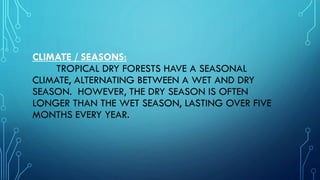 Tropical seasonal forests | PPTX