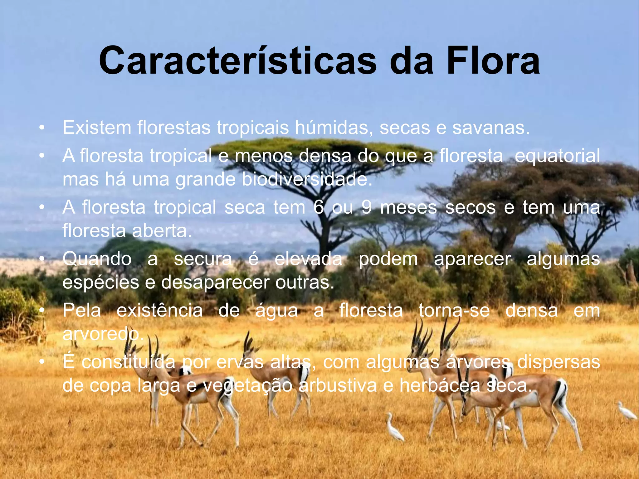 Clima tropical seco | PPTX | Geography | Science