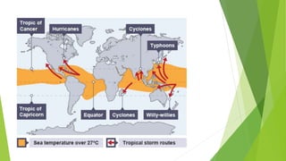 Tropical Storms.pptx
