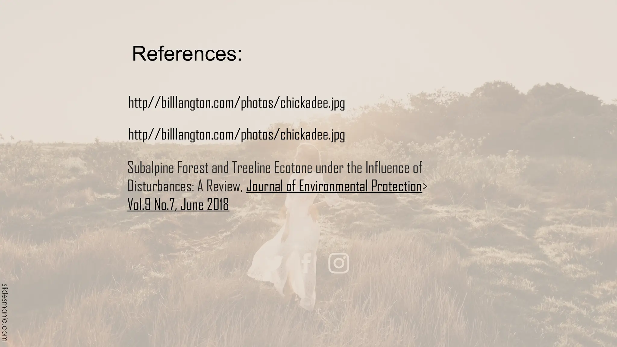 TYPE OF FOREST IN THE PHILIPPINES:TROPICAL SUBALPINE FOREST | PPTX