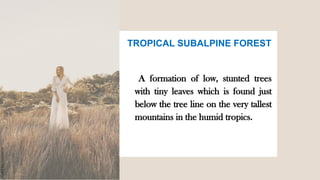 TYPE OF FOREST IN THE PHILIPPINES:TROPICAL SUBALPINE FOREST | PPTX