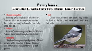 TYPE OF FOREST IN THE PHILIPPINES:TROPICAL SUBALPINE FOREST | PPTX
