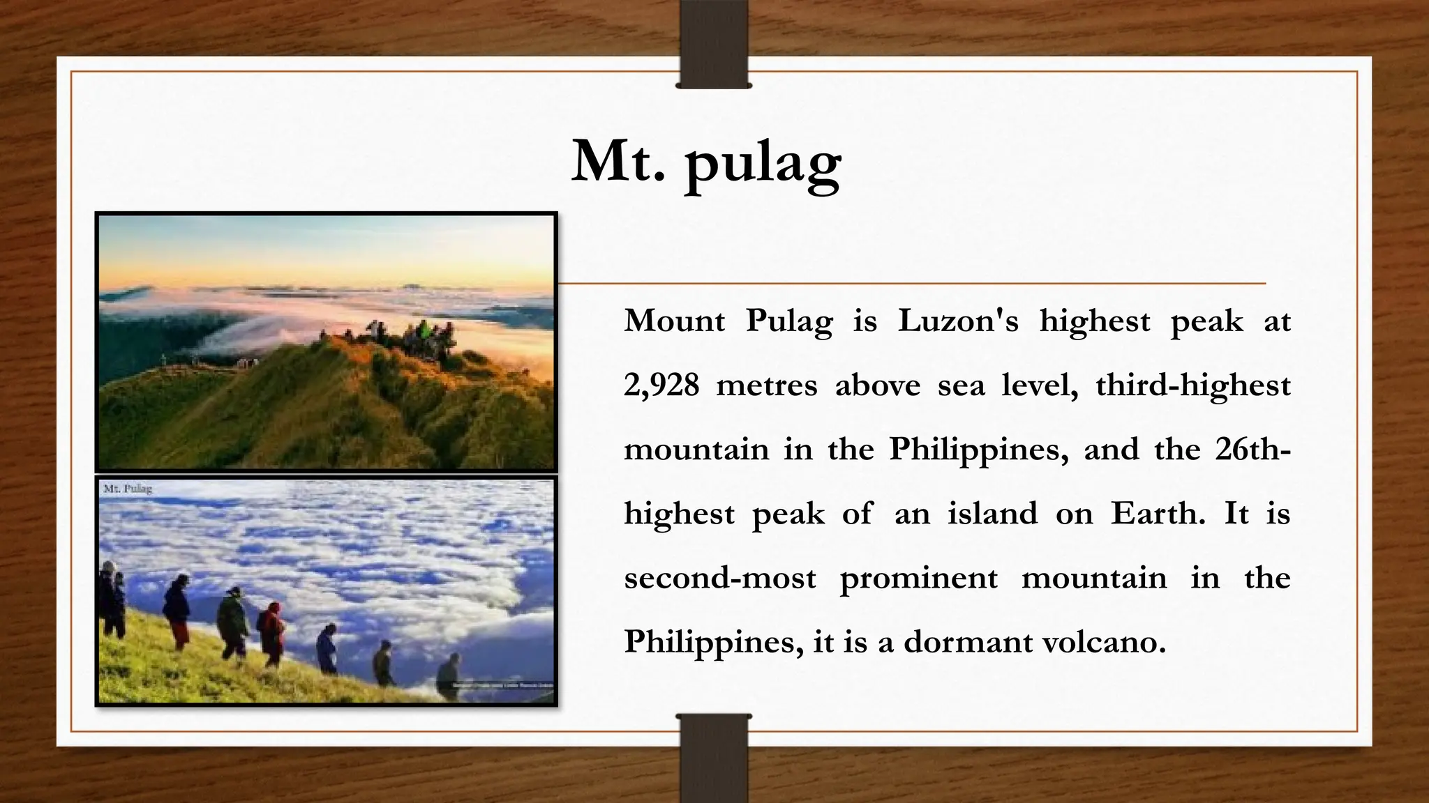Tropical subalpine forest- Forest in the Philippines | PPTX