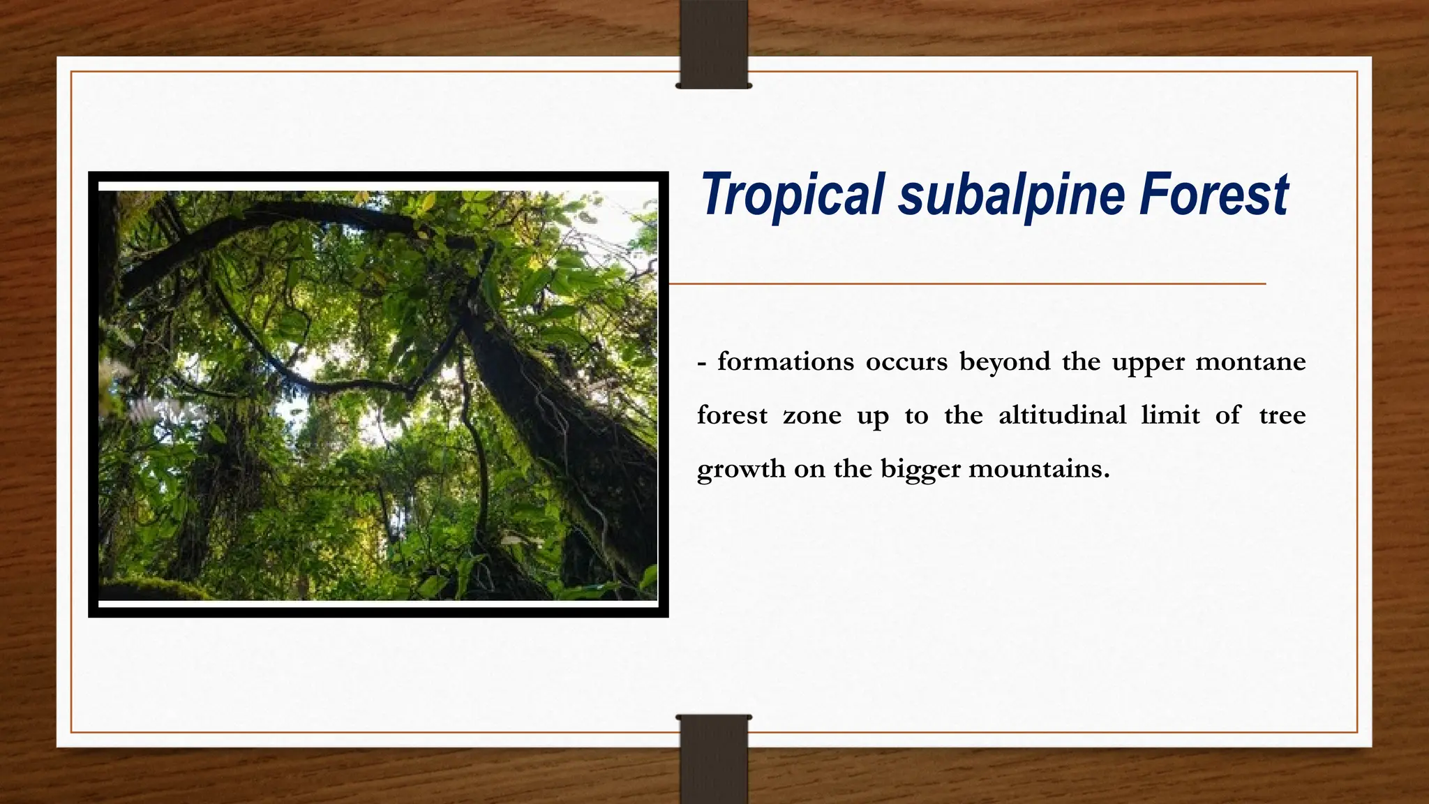 Tropical subalpine forest- Forest in the Philippines | PPTX