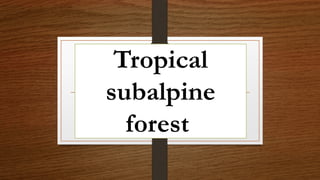 Tropical subalpine forest- Forest in the Philippines | PPTX