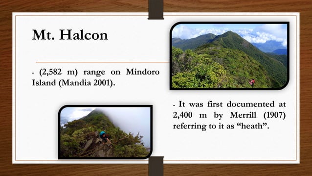 Tropical subalpine forest- Forest in the Philippines | PPTX