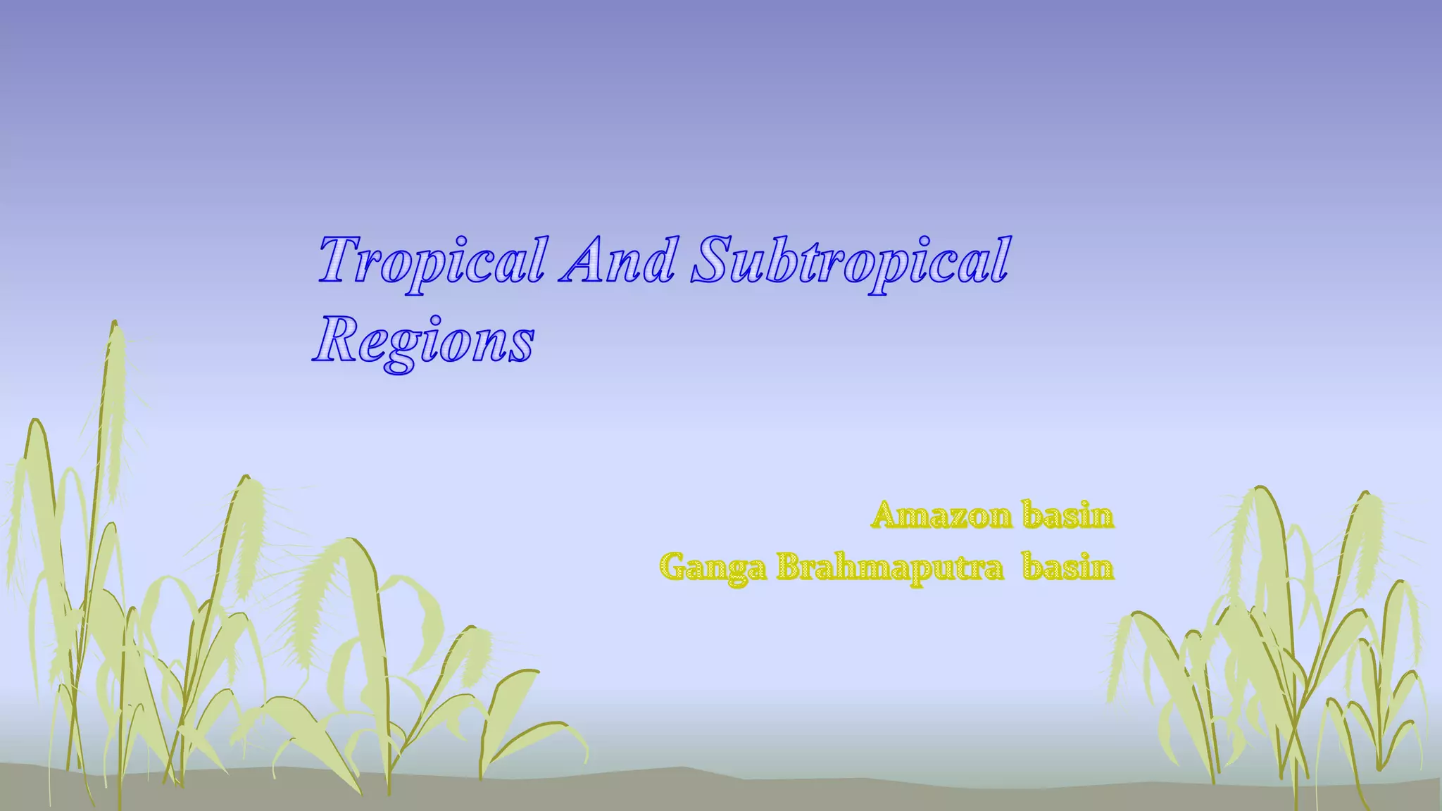 Tropical And Subtropical Basins Of The World | PPTX | South America ...