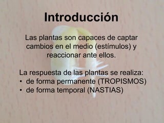 Tropismos presentacion | PDF