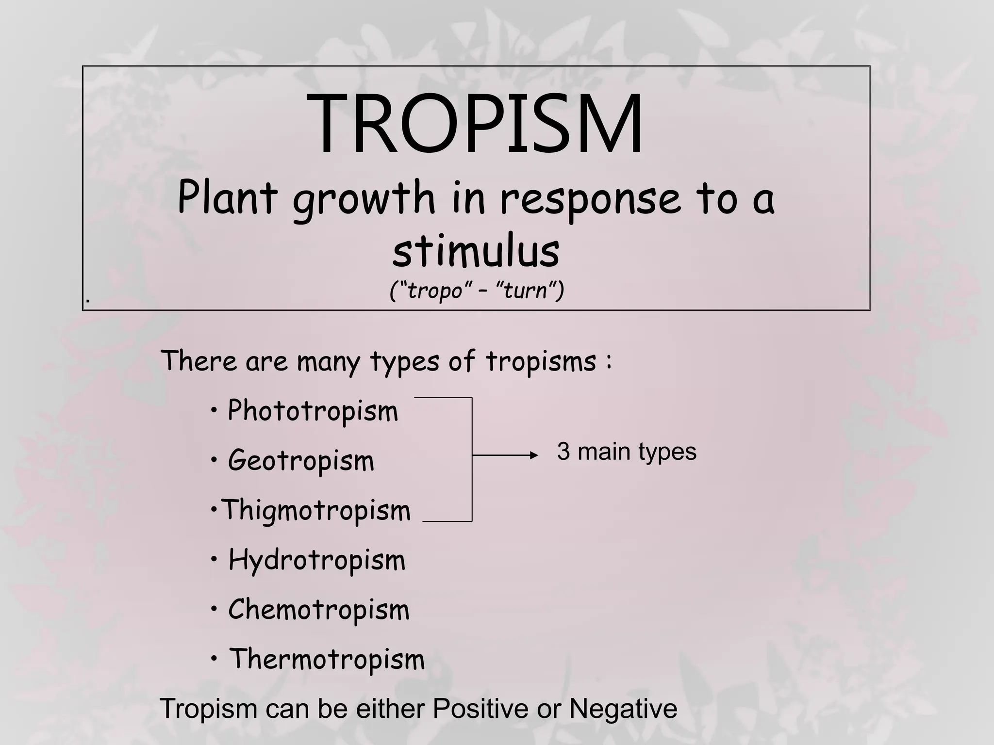 Tropism of plants 🪴 physiology presentation | PDF