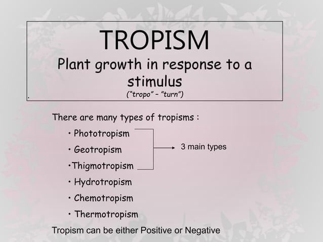 Tropism of plants 🪴 physiology presentation | PPT