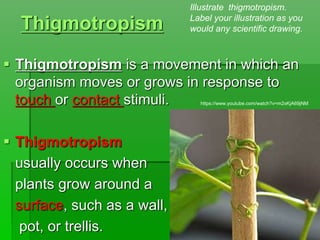 Tropism 2013 - 7th grade | PPTX