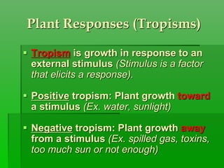 Tropism 2013 - 7th grade | PPTX