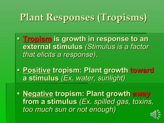 Minors Tropism Notes 2017 | PPTX