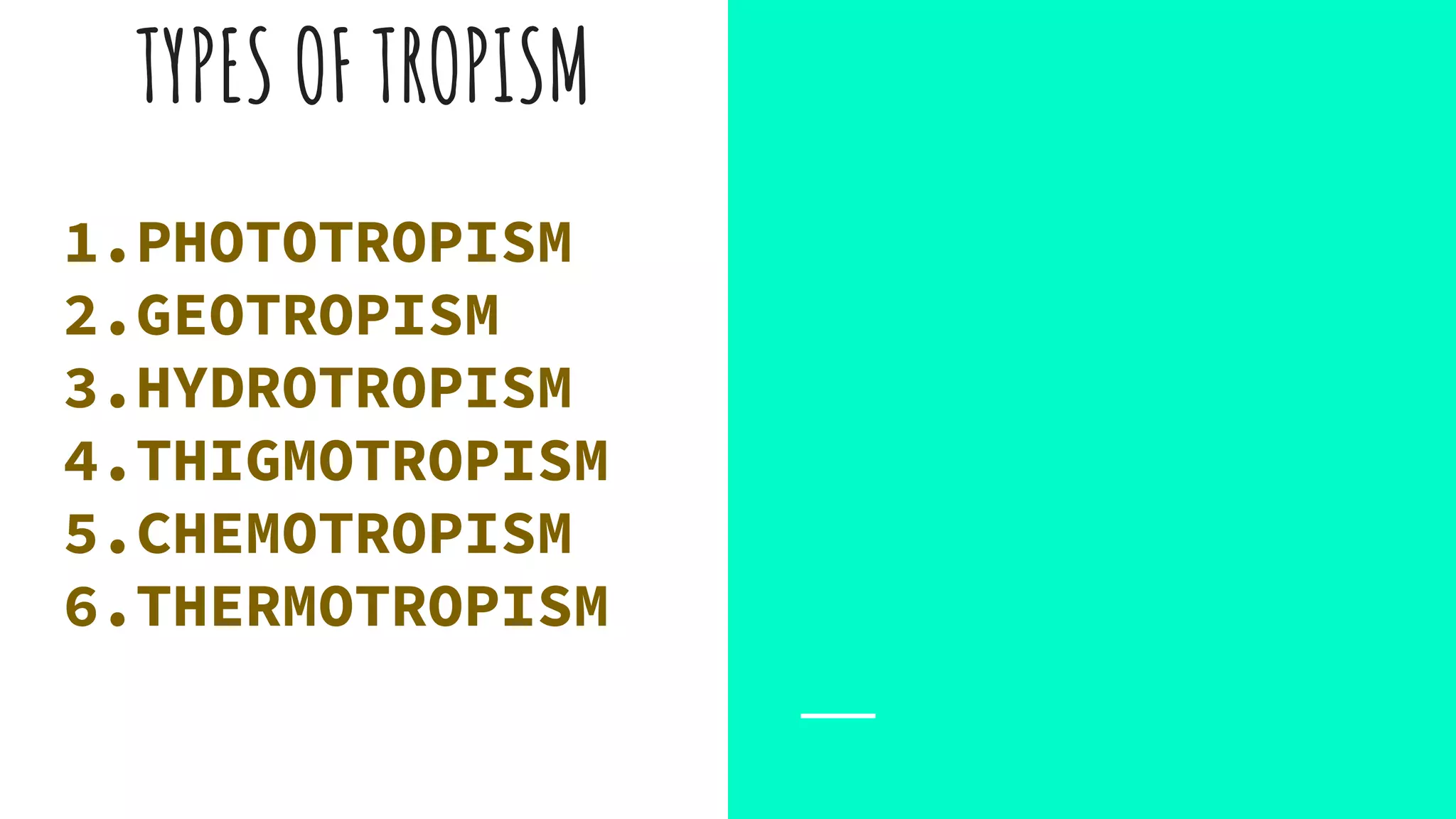 TROPISM IN PLANTS.pptx