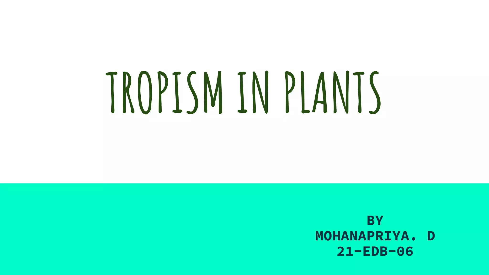 TROPISM IN PLANTS.pptx