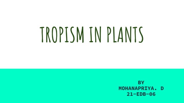 TROPISM IN PLANTS.pptx